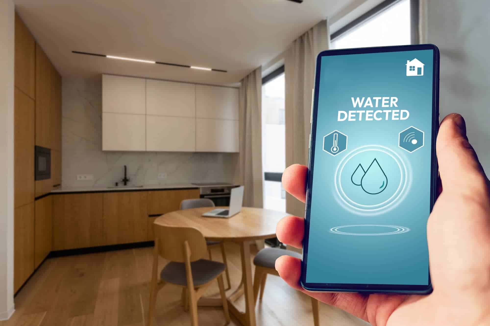 Residential Leak Detection & Shutoff - Houston - pro-techt.com